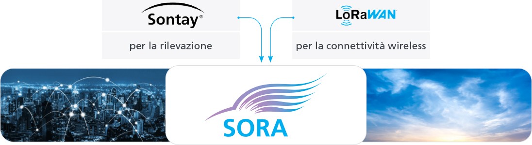 SORA Italian - sontay.com